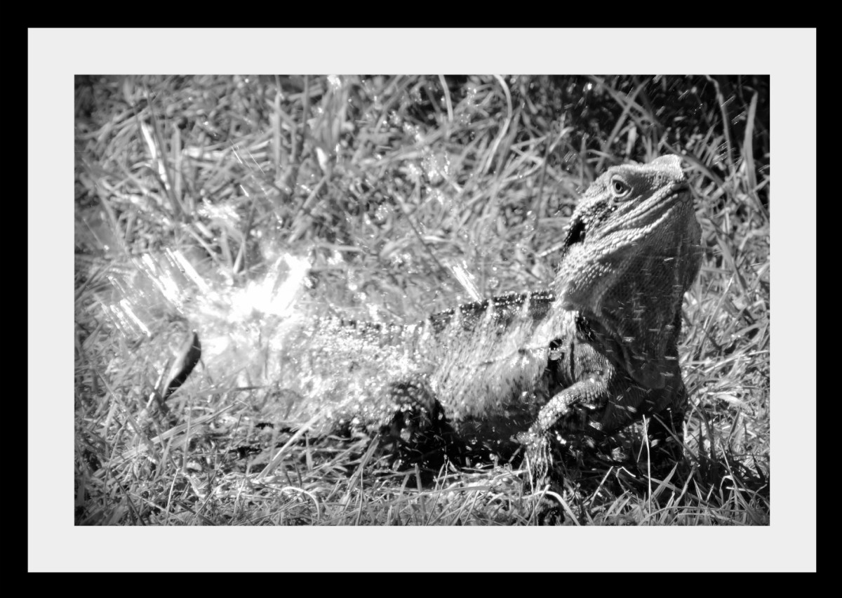 Showered with hope | LOVE HAPPY NOTES - The Home of Inspiration ...